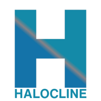 Halocline Consulting – Finding organizational equilibrium